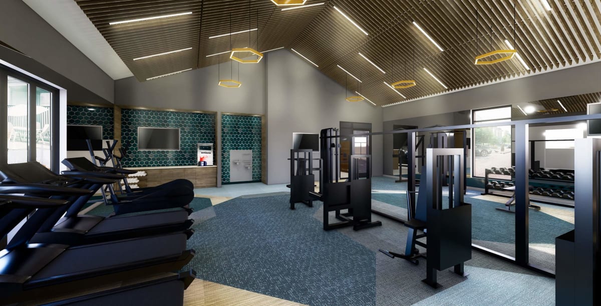 Photos and Video of Palomino in Reno, NV