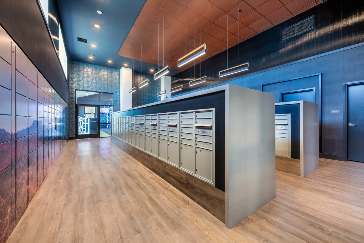 LVB Apartments Photo Gallery - A Glimpse into Stylish Living