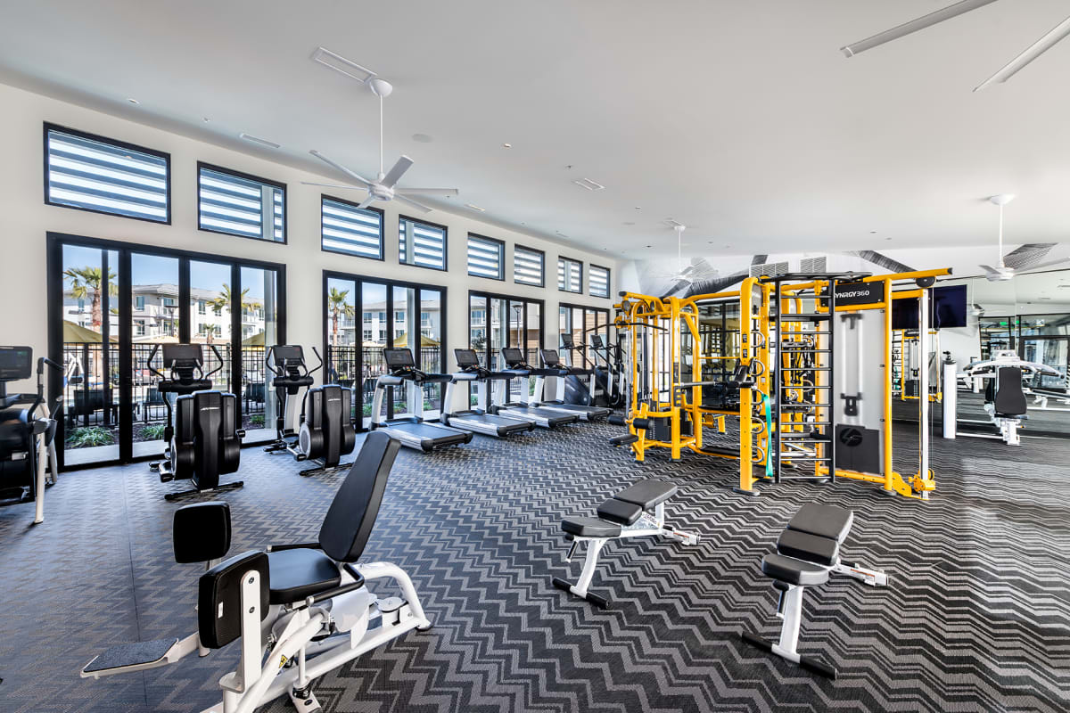 Photos and Video of The Offset in Sacramento, CA