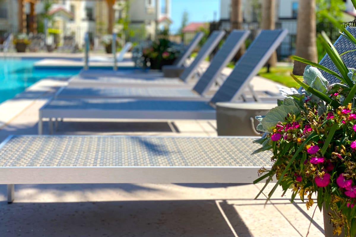 Photos and Video of Bridge at Paloma in Austin, TX