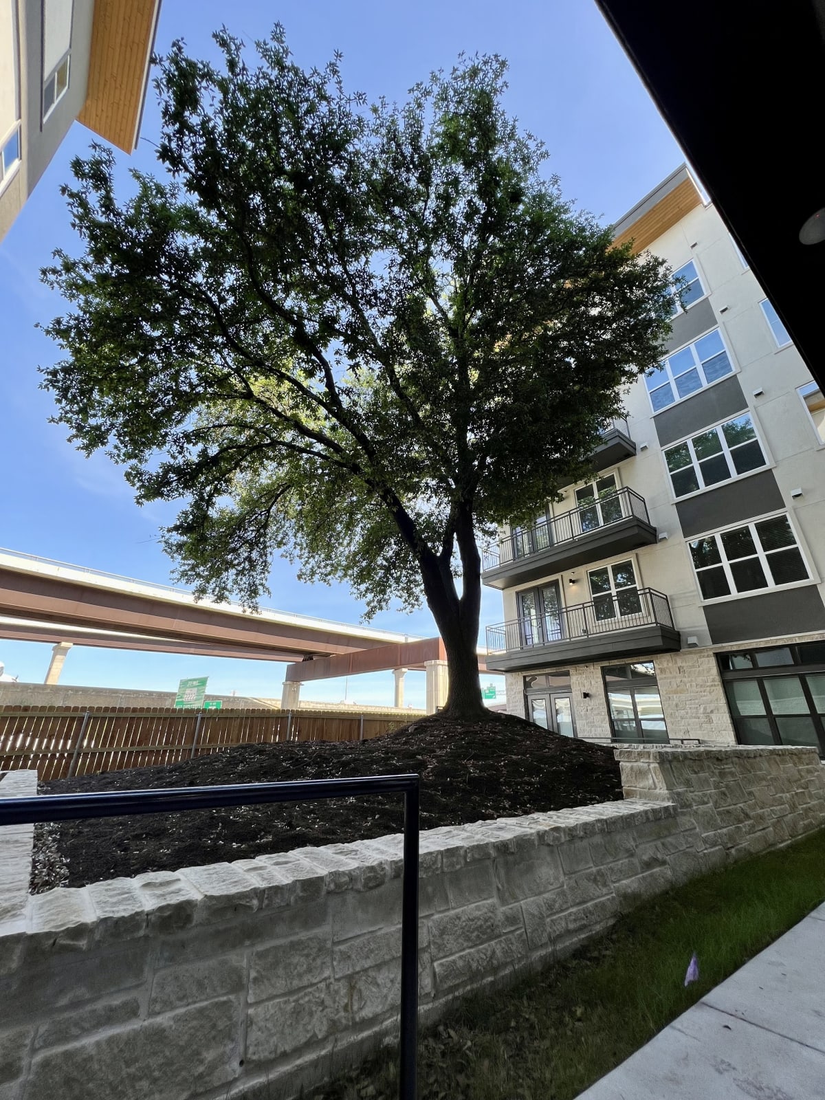 Photos and Video of Bridge at Windsor Park in Austin, TX