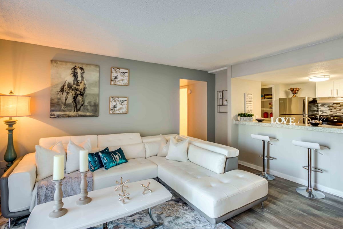 Photos and Video of Hanley Place in Tampa, FL