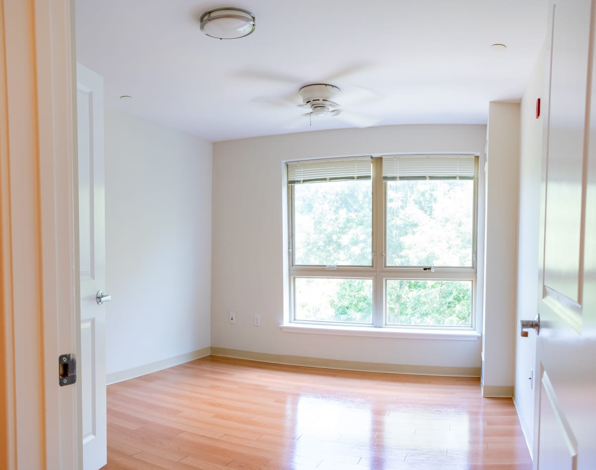 Photos and Video of Mattapan Heights in Mattapan, MA