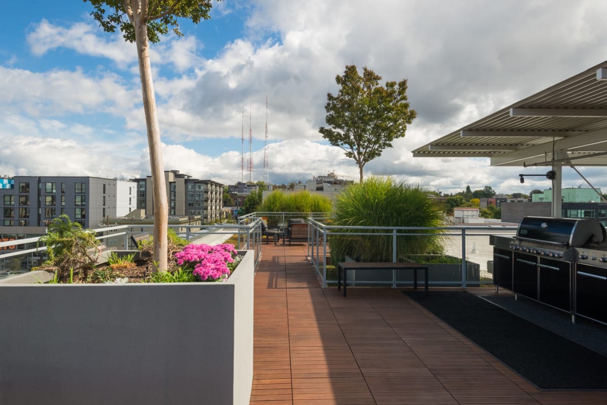 Photos and Video of Sunset Electric in Seattle, WA