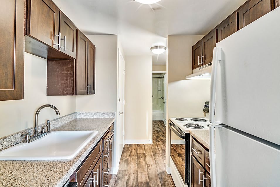 Photos and Video of Beacon View in Seattle, WA