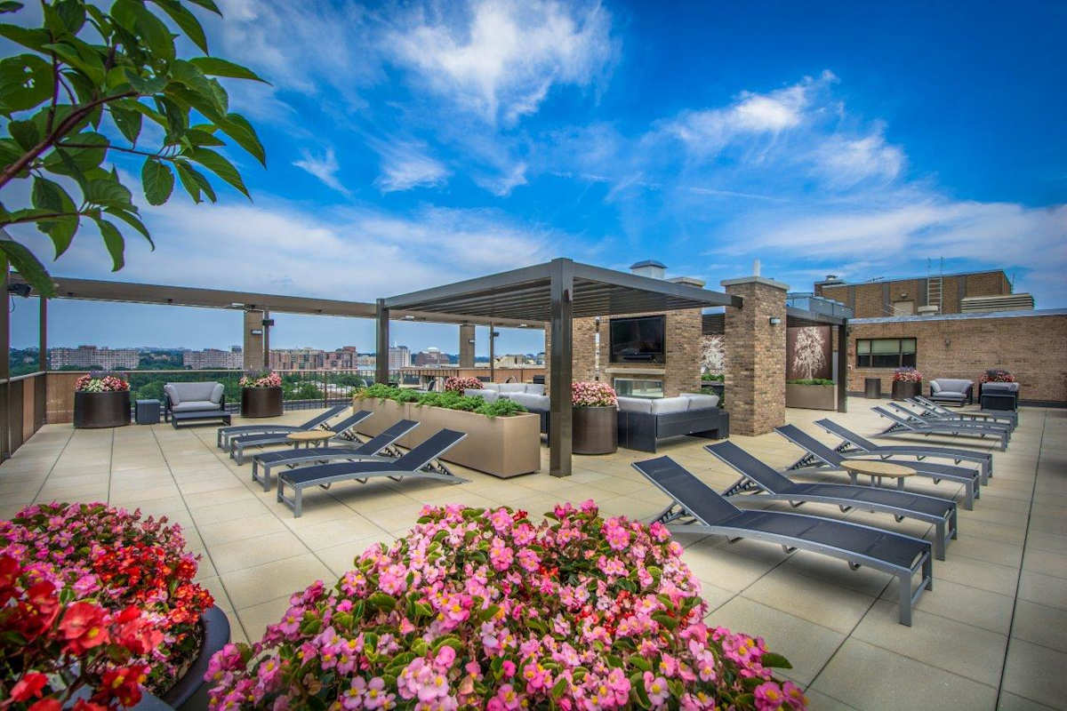 Photos and Video of Crystal House in Arlington, VA