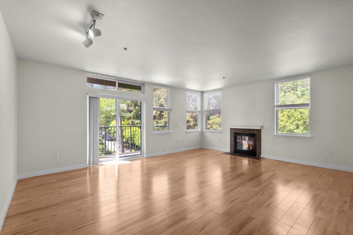 Photos and Video of Collins Circle in Portland, OR