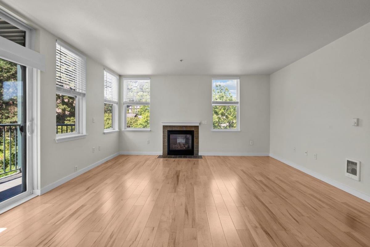 Photos and Video of Collins Circle in Portland, OR