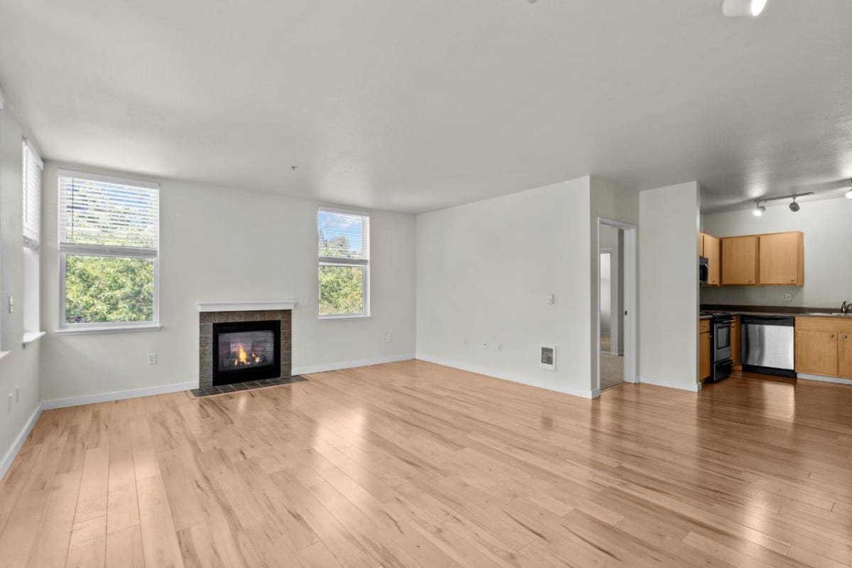 Photos and Video of Collins Circle in Portland, OR