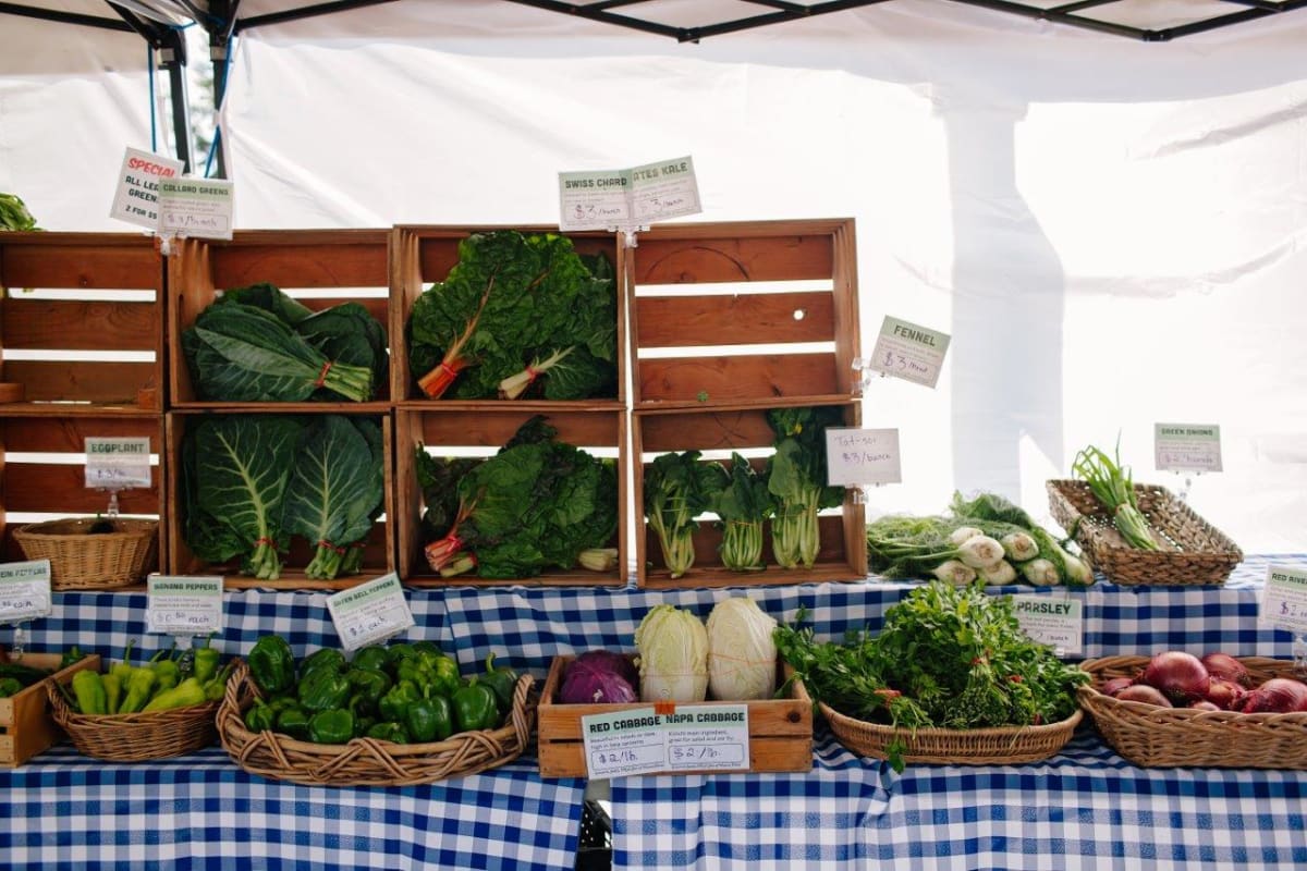 Photos and Video of Springwater Crossing in Gresham, OR