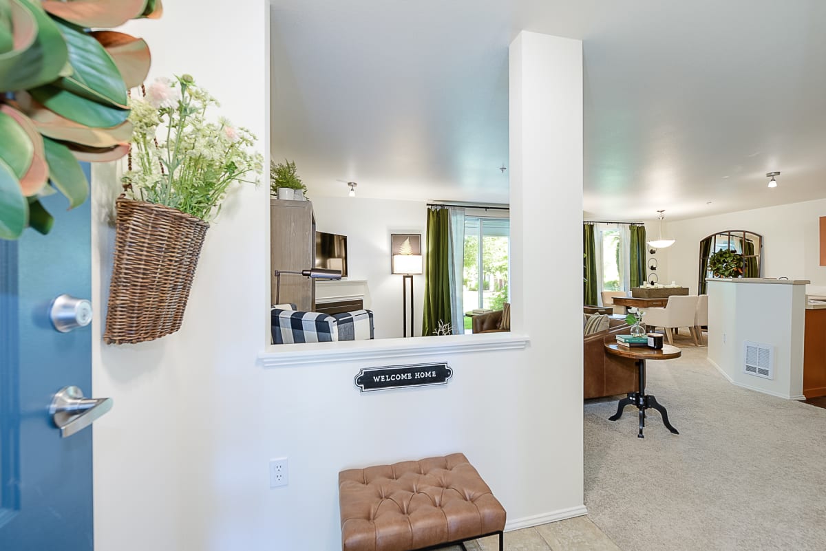 Photos and Video of Evans Creek at Woodbridge in Redmond, WA
