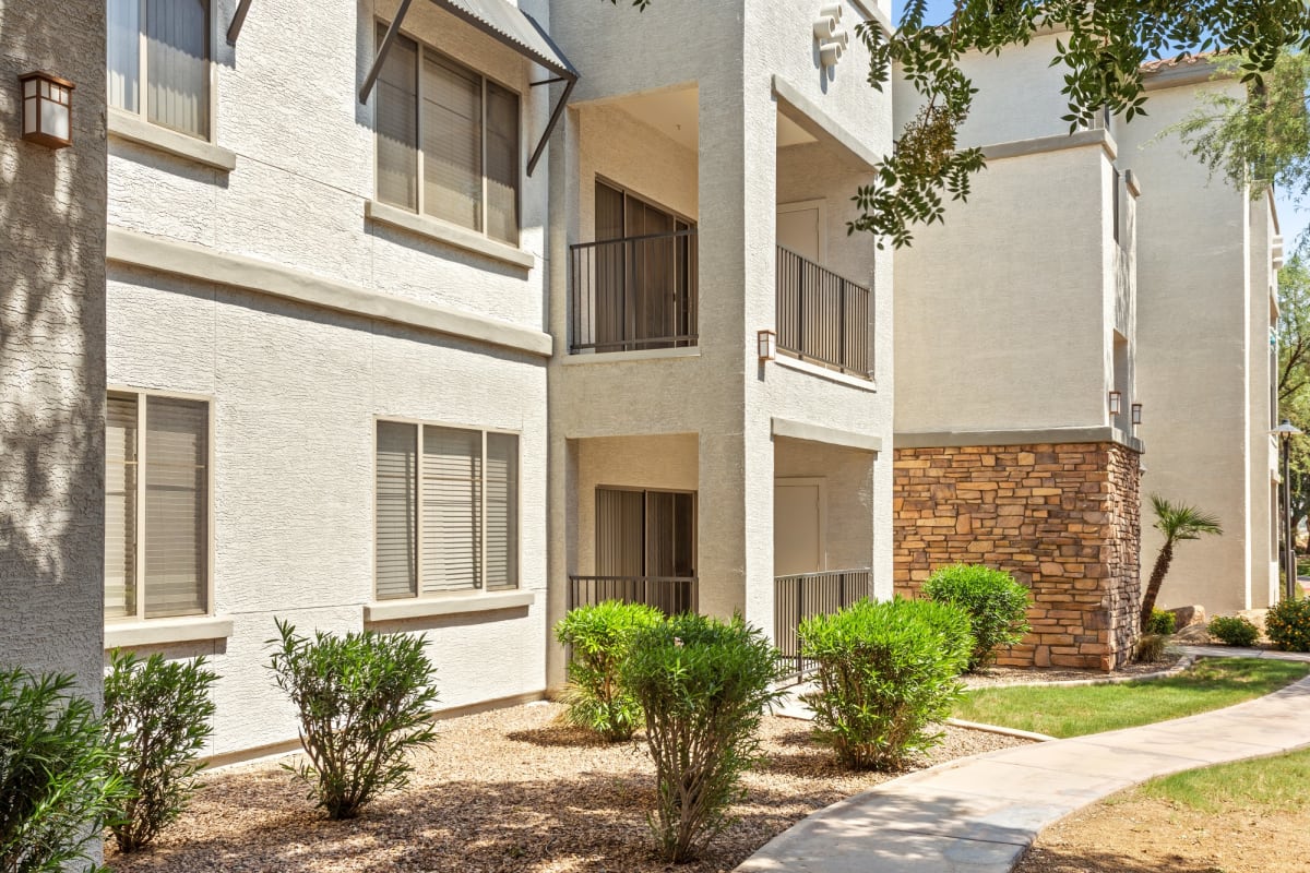 Photos and Video of Painted Trails in Gilbert, AZ