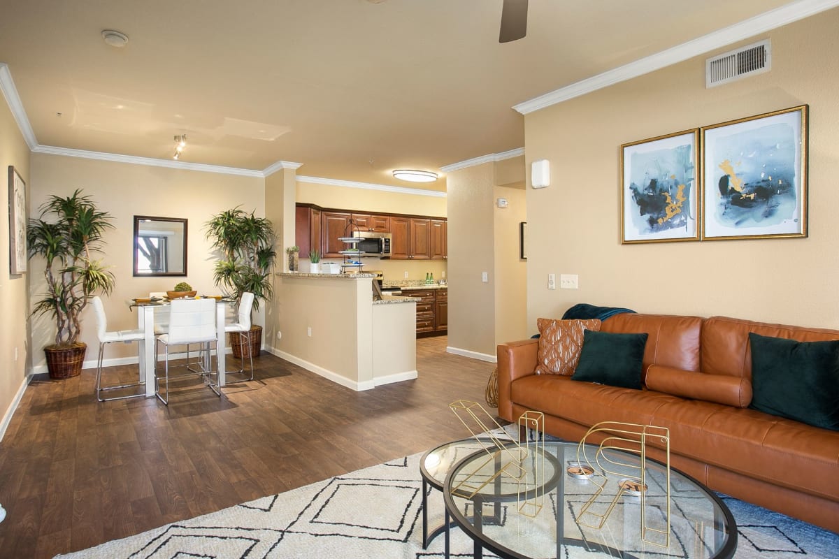 Photos and Video of Painted Trails in Gilbert, AZ