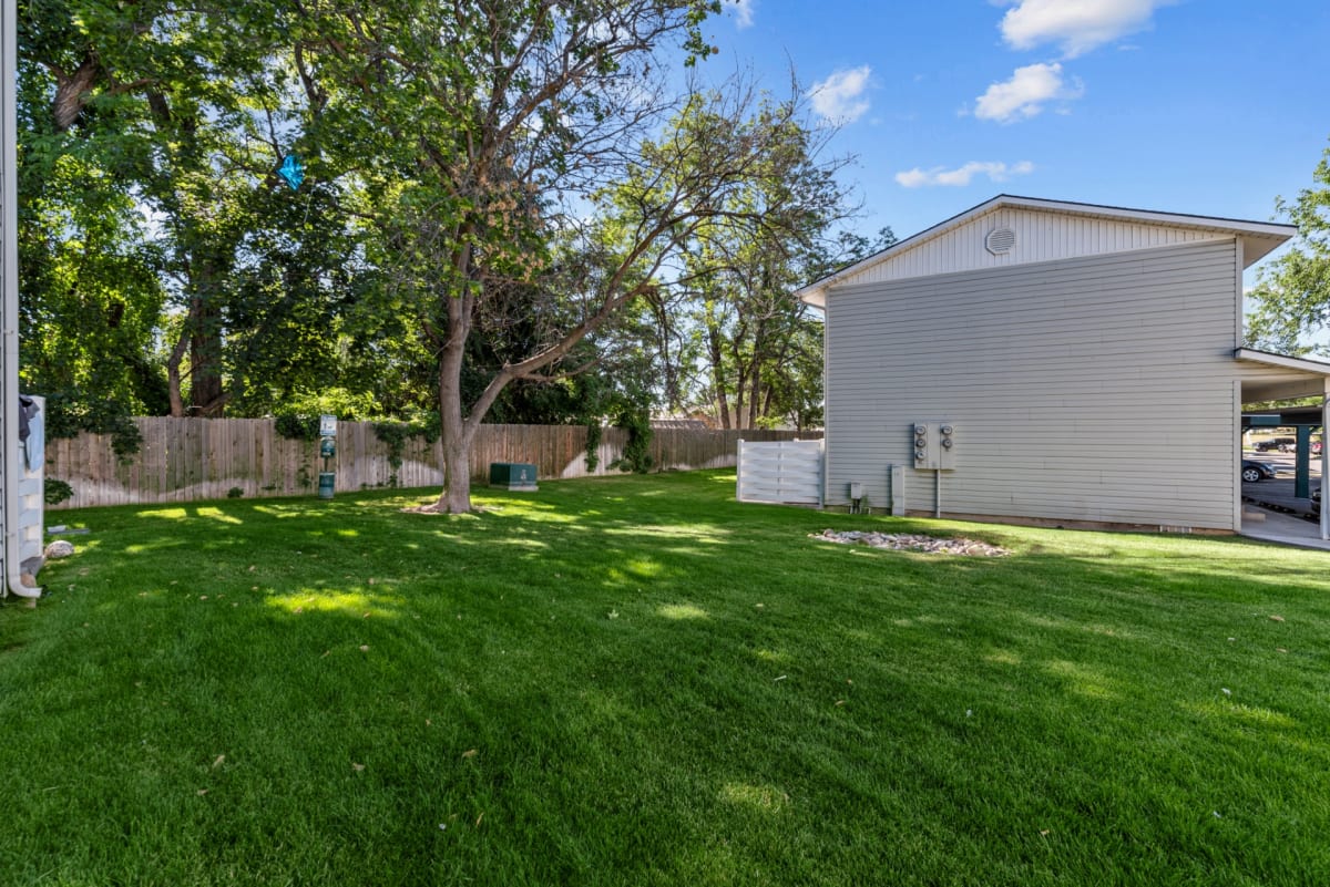 Photos and Video of Sugar Pine in Boise, ID