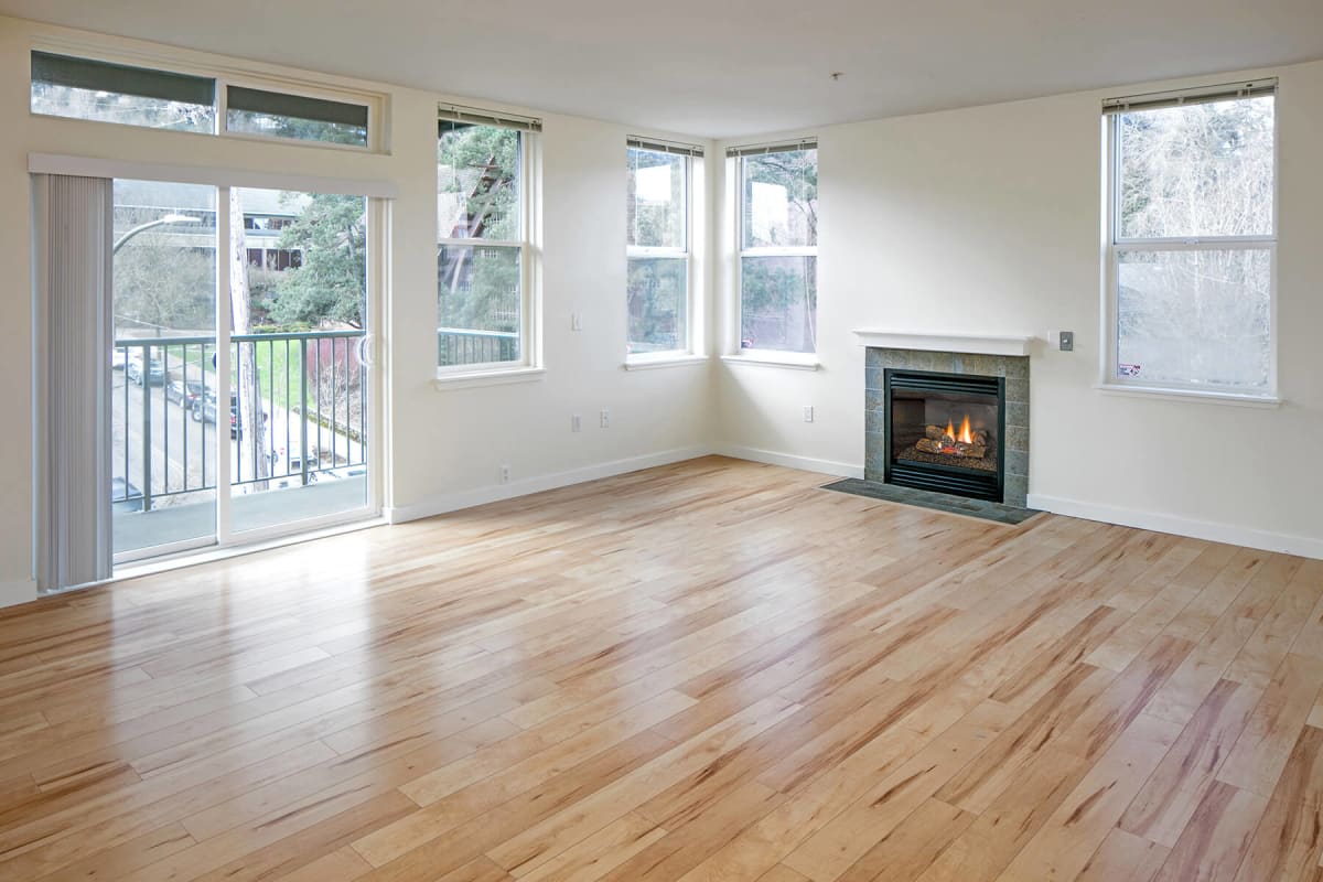 Photos and Video of Collins Circle in Portland, OR