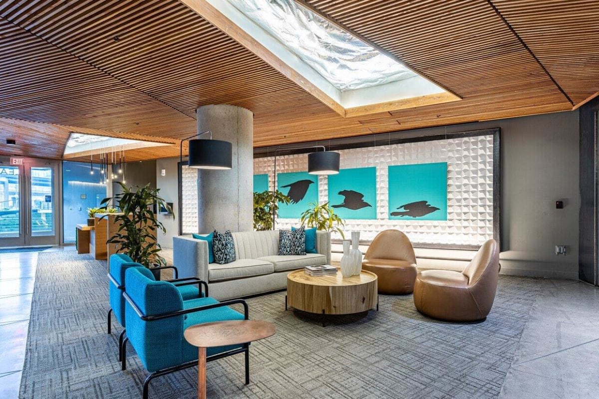 Photos and Video of Yard in Portland, OR