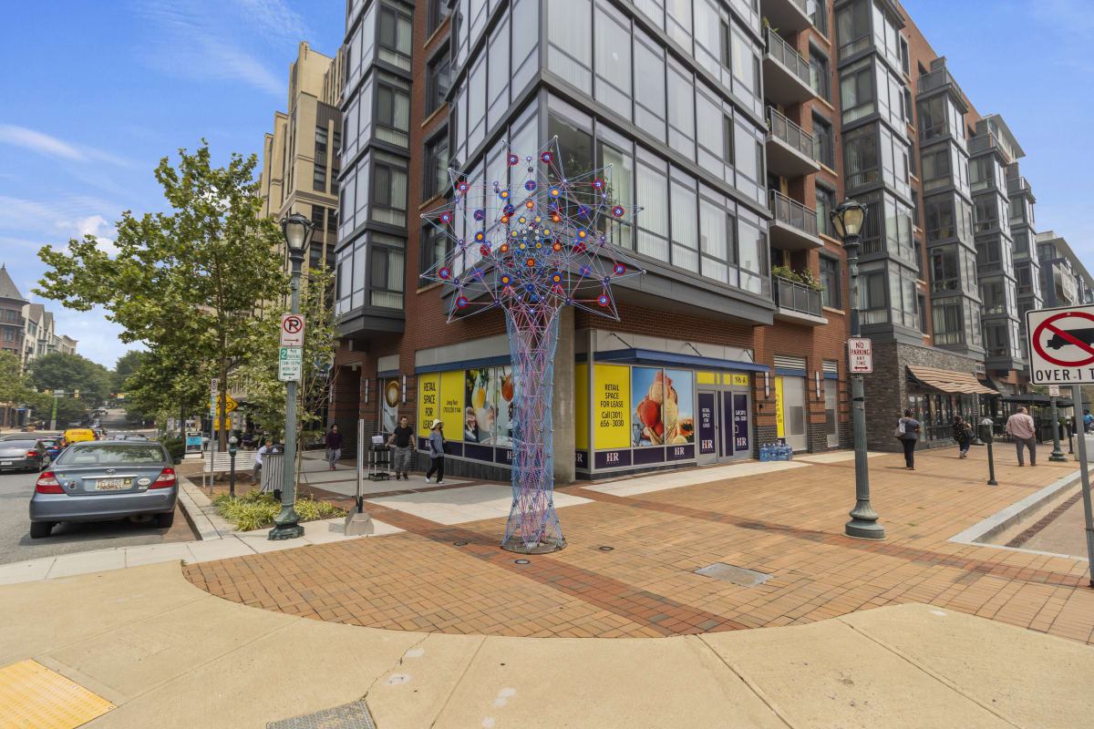 Photos and Video of Halpine View in Rockville, MD