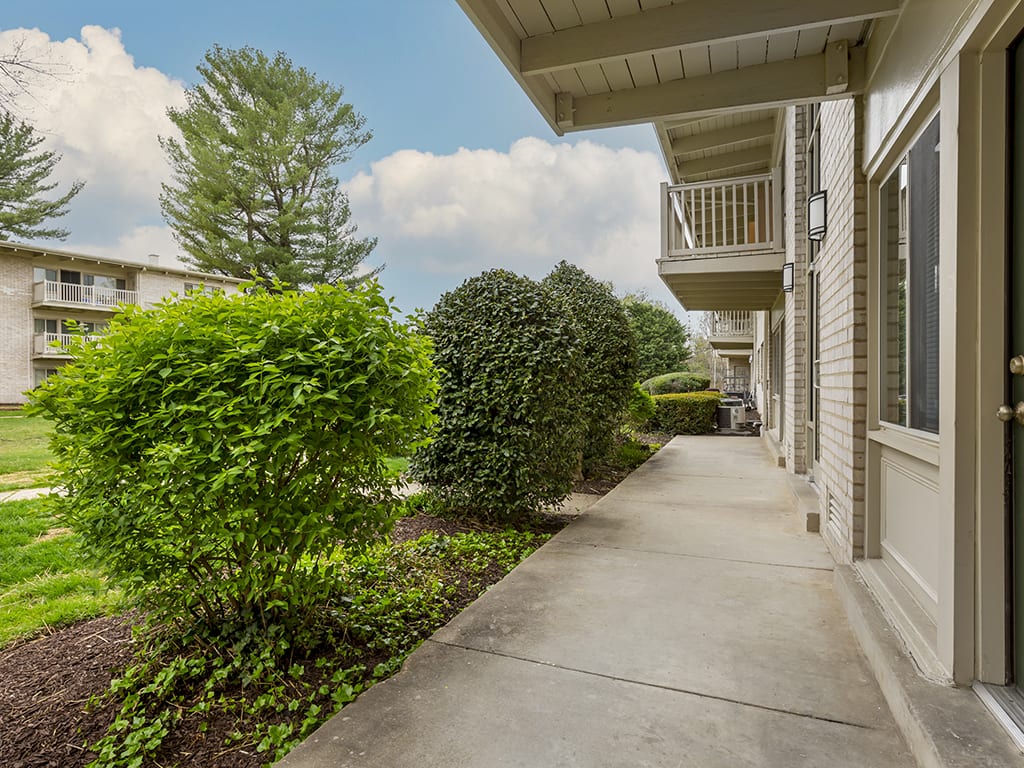 Photos and Video of Halpine View in Rockville, MD