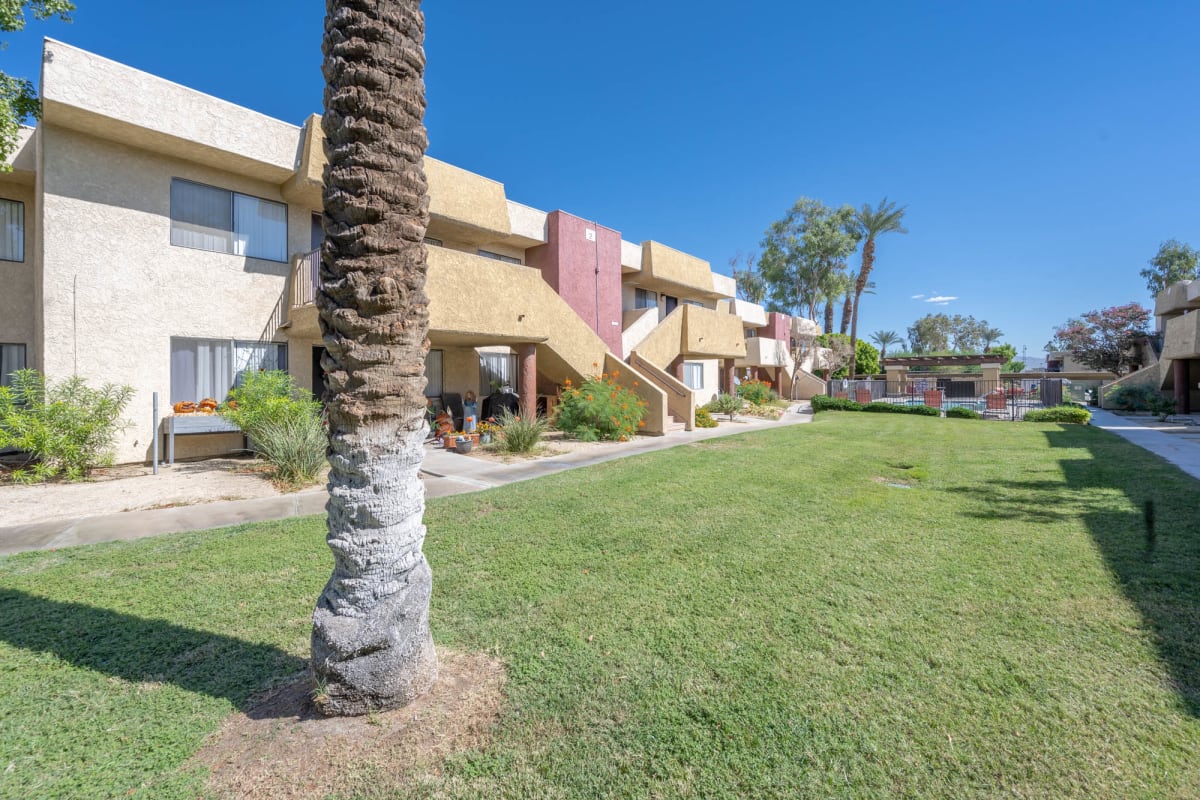 Photos and Video of Monte Azul Apartments in Indio, CA