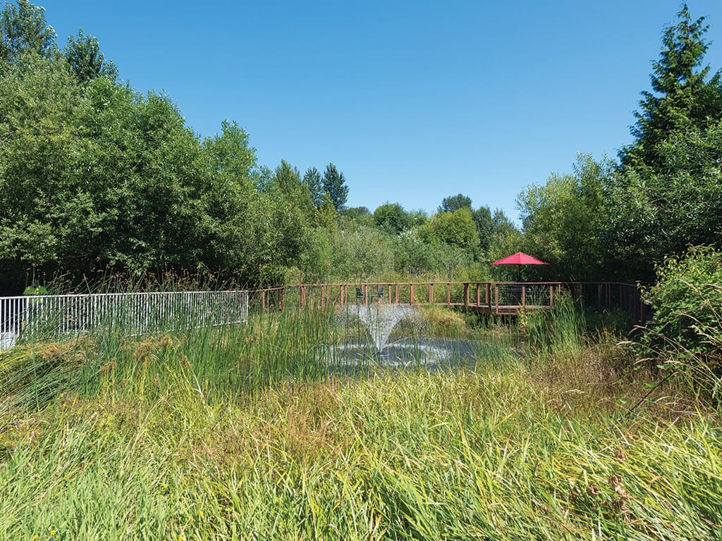 Woodlands at Forbes Lake Senior Apartments | Kirkland Apartments for Rent