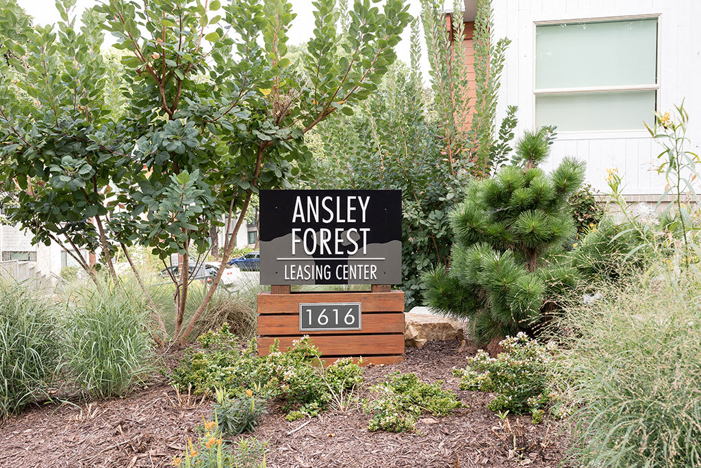Photos and Video of Ansley Forest in Atlanta, GA