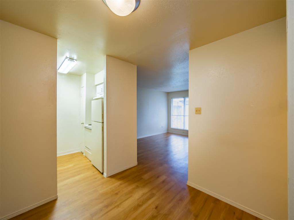 Photos and Video of Willow Tree Apartments in Houston, TX