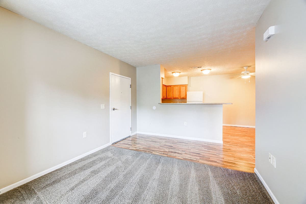 Photos and Video of Autumn Run in Millersburg, OH