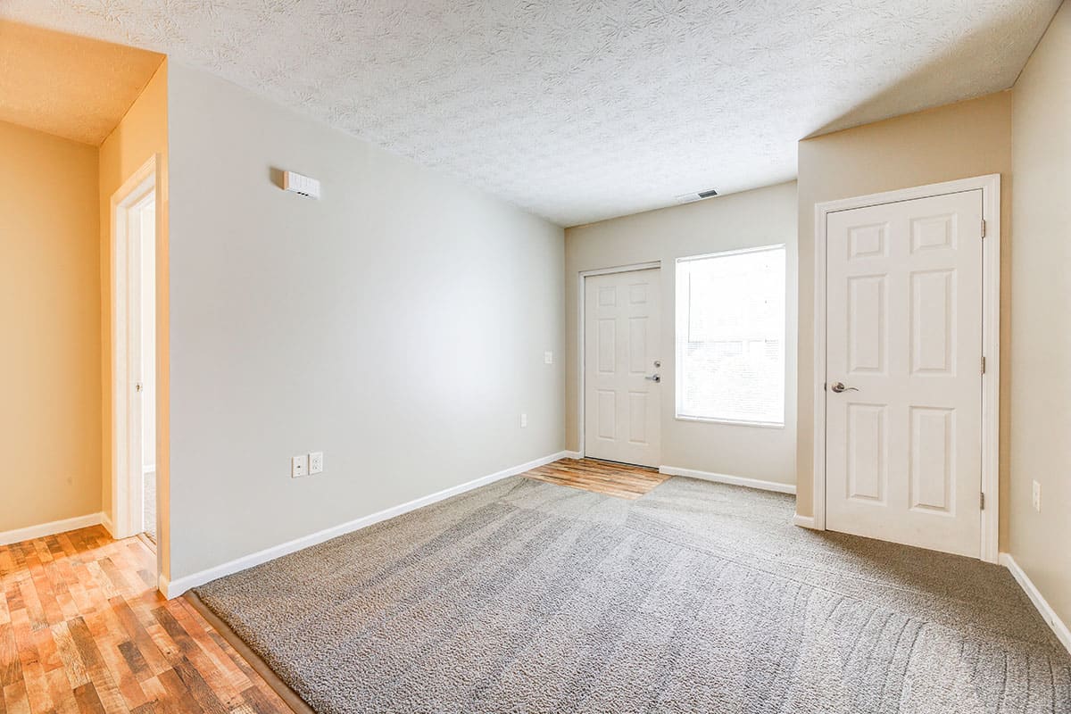 Photos and Video of Autumn Run in Millersburg, OH