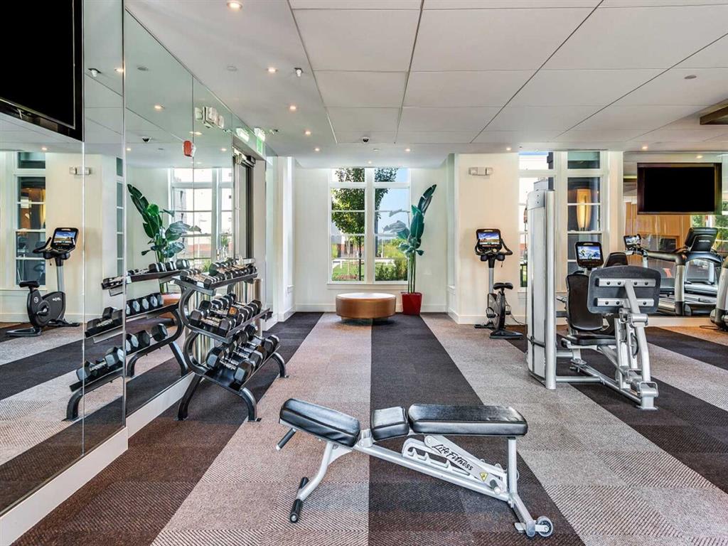 Photos and Video of Lerner Windmill Parc in Dulles, VA