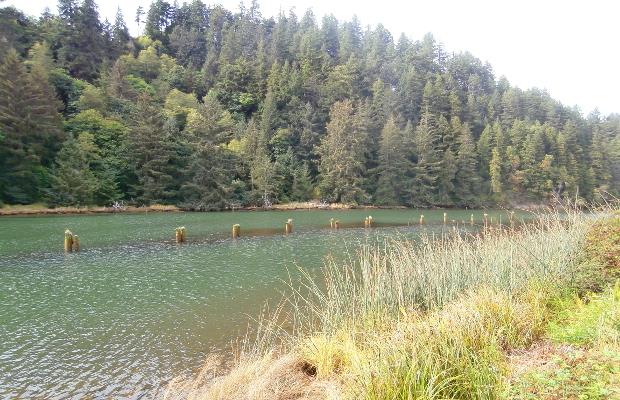 Northwest Real Estate Capital | Apartments in Boise, ID | RENTCafe