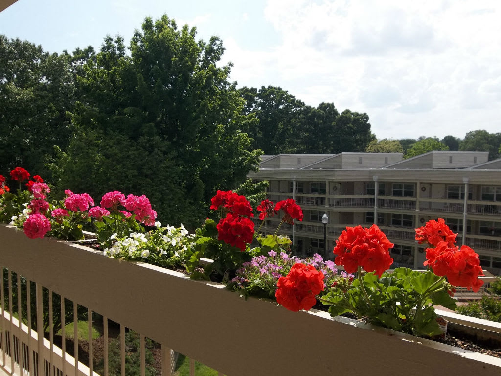 Property details for Gypsy Hill House from TM Associates Management, Inc.