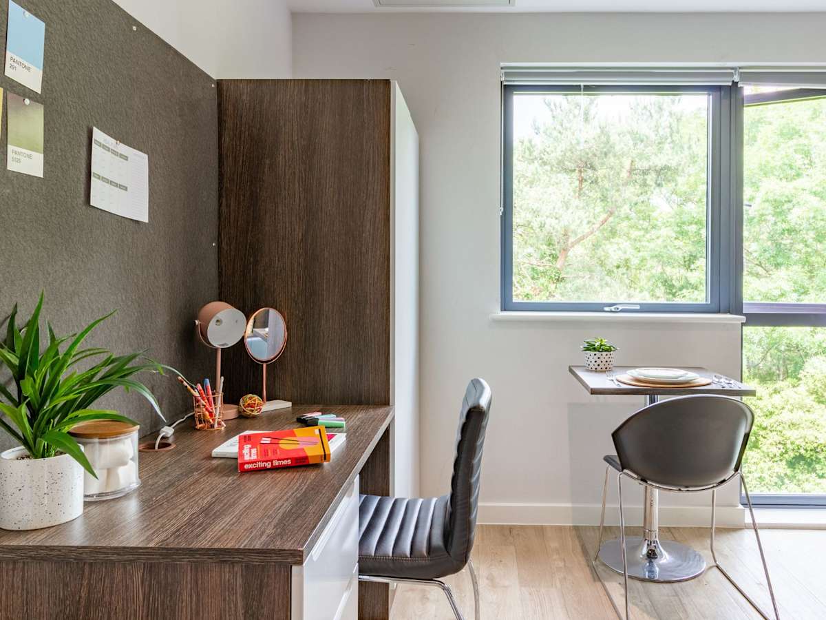 Available Rooms to Rent in Exeter at Cricket Field Court