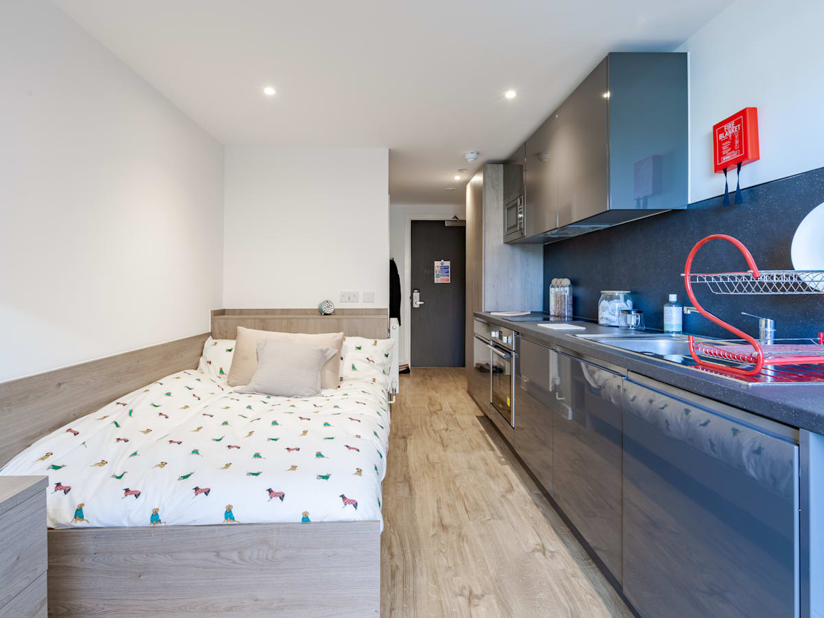 Available Rooms to Rent in Brighton at Pavilion Point