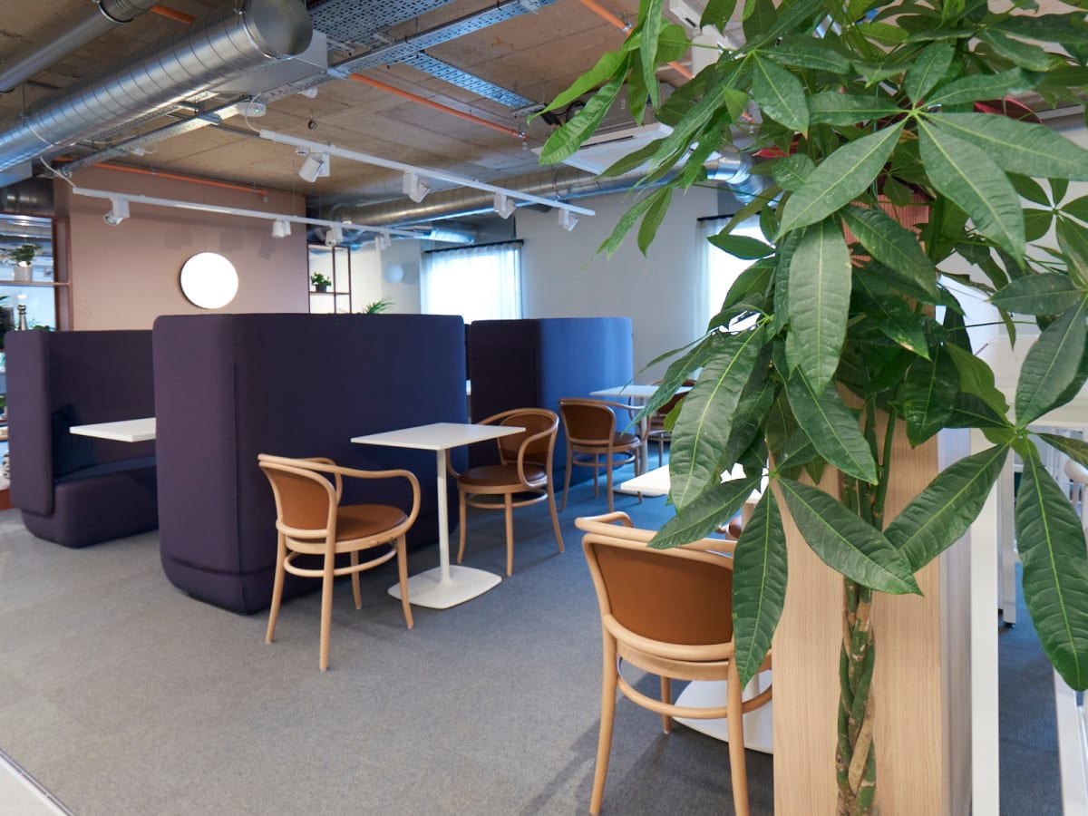 Photos and Video of The Gorge in Exeter | The Gorge