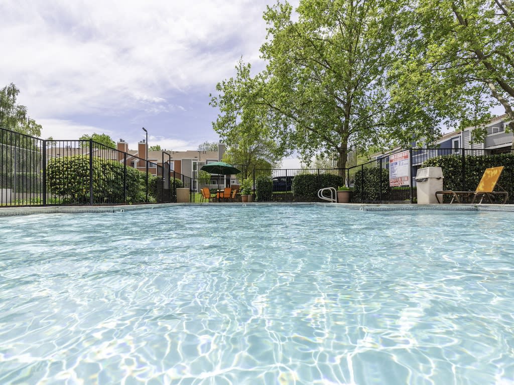 Chesapeake Commons Blog