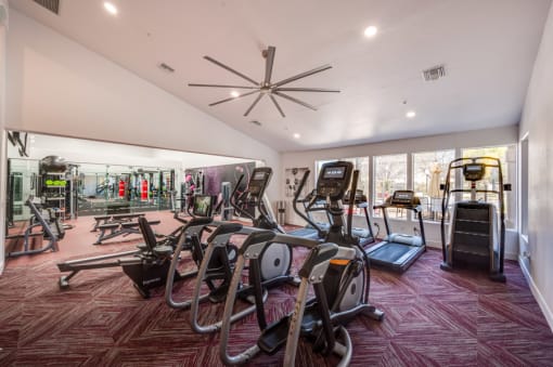 Apartments for Rent in Temecula, CA | Solana Ridge