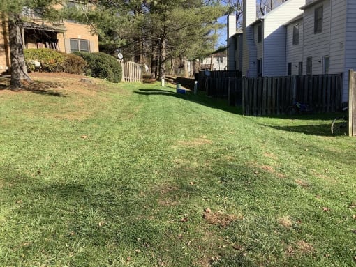 Photos and Video of Naples Manor in Silver Spring, MD