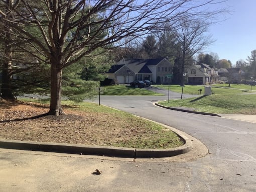 Photos and Video of Naples Manor in Silver Spring, MD