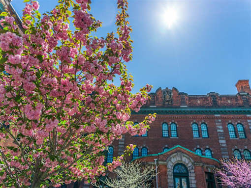 Photos and Video of 300 Alexander Apartments in Rochester, NY