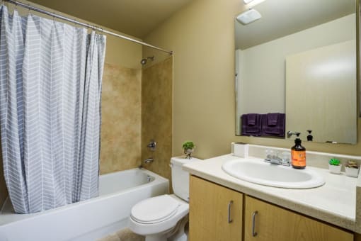 Apartments for Rent in Seattle, WA | Creston Point