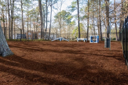Photos and Video of Springwood Park in Durham, NC