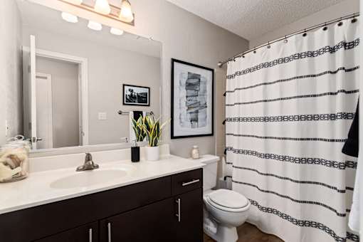 Apartments for Rent in Durham, NC | University Ridge