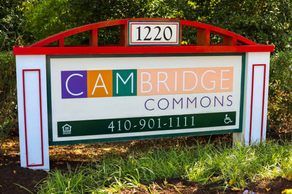 Photos and Video of Cambridge Commons in Cambridge, MD