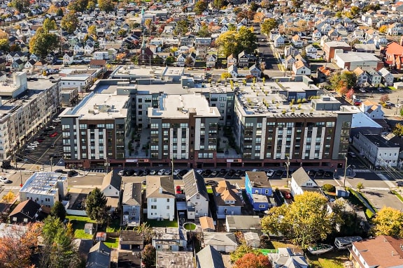 Photos and Video of The Botanic in Carteret, NJ