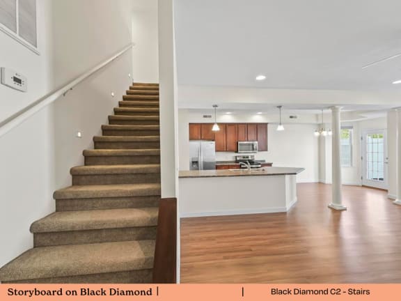 Apartments in Carbondale IL | Storyboard on Black Diamond - Floor Plan