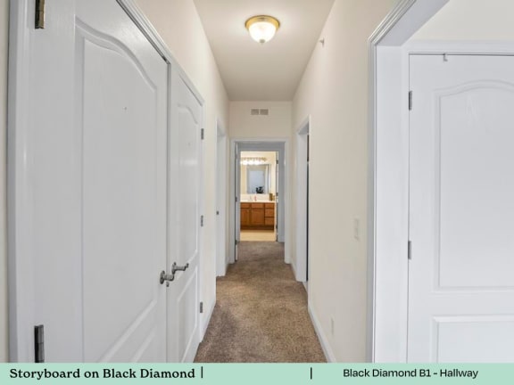 Apartments in Carbondale IL | Storyboard on Black Diamond - Floor Plan