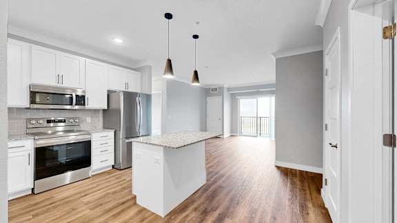 Studio, 1, 2 & 3 Bedroom Apartments in Maple Grove | The Edison at ...