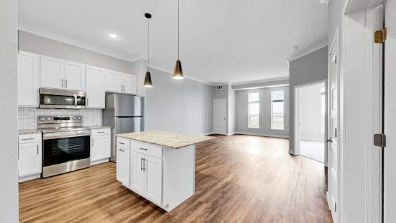 Studio, 1, 2 & 3 Bedroom Apartments in Maple Grove | The Edison at ...