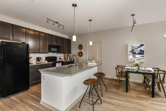 Dunedin Commons Apartments | Apartment and Community Amenities