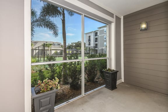 Dunedin Commons Apartments | Apartment and Community Amenities